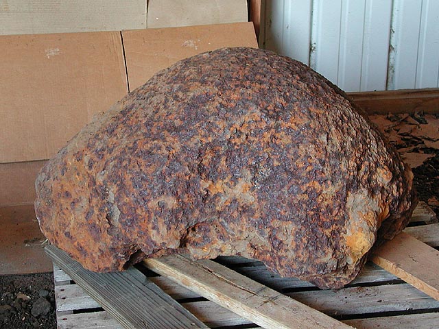 brenham-pallasite-meteorite-information